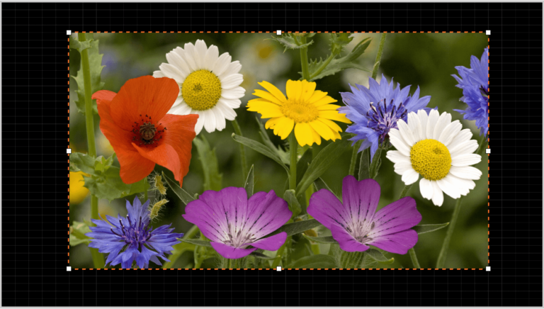 Creating Layouts | Yodeck Documentation