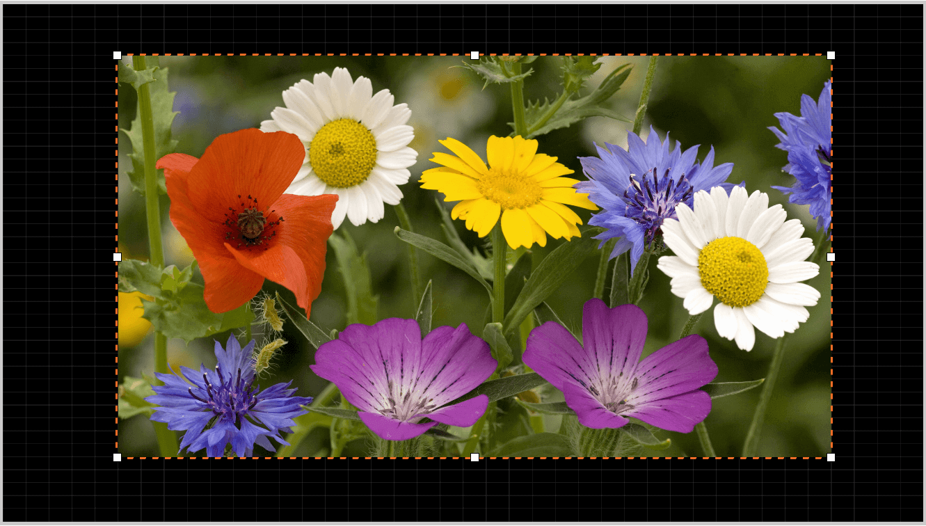Creating Layouts | Yodeck Documentation