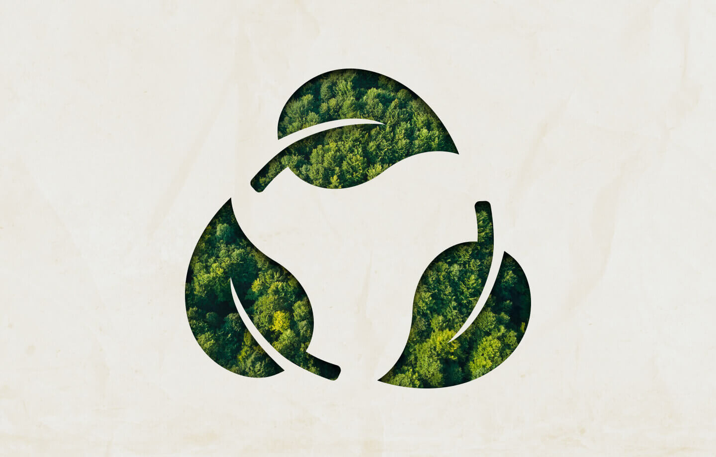 Sustainable Digital Signage: From Paper to Pixels | Yodeck